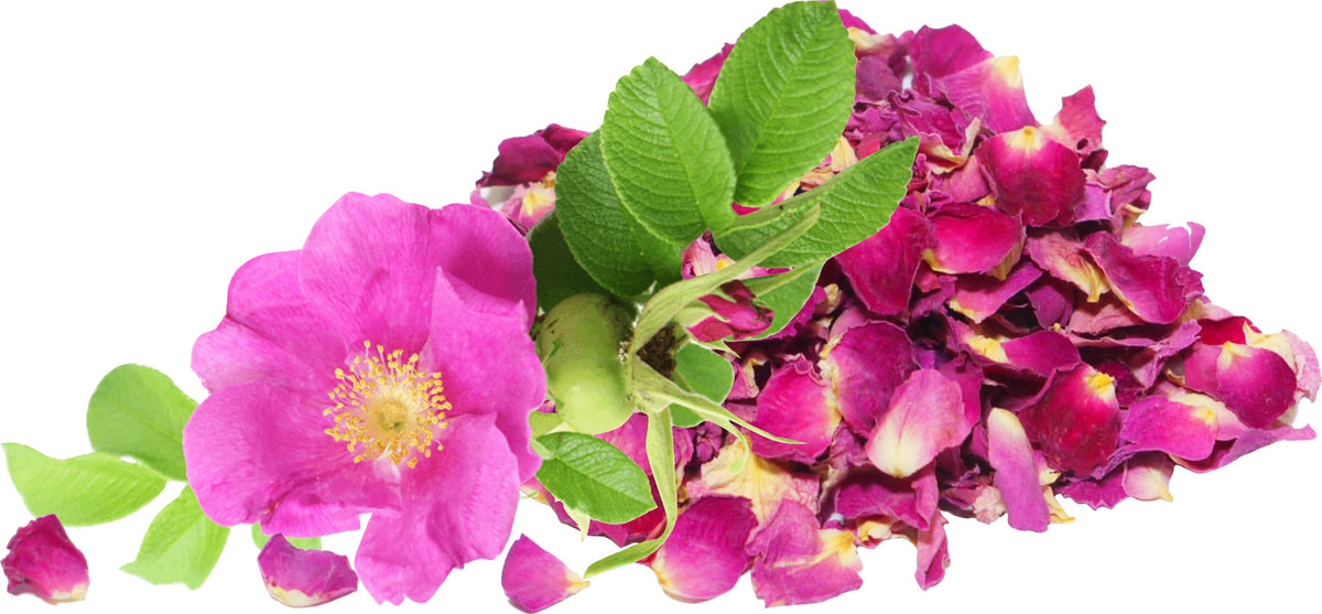 list of the ten most important floral essential oils and absolutes ...